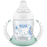 NUK First Choice Disney Learner Bottle with Temperature Control - 150ml ...