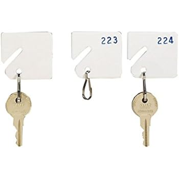Amazon.com : Buddy Products Plastic Key Tags, Numbered 31-60, White ...