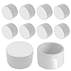 Piutouyar 10 Pcs 1" PVC Pipe End Cap Plug Adapter, White PVC Pipe End ...