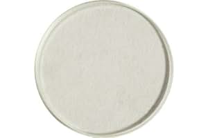 Replacement Lens, Clear - Lighting - Amazon.com