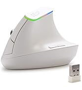 Amazon.com: DELUX Ergonomic Wireless Mouse with 2.4G USB Receiver ...