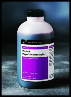 Modified Mayer's Hematoxylin Stain, 473ml [ 1 Pint(s)]: Science Lab Supplies: Amazon.com ...