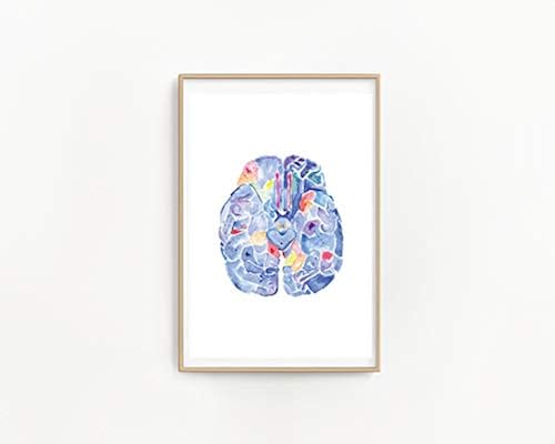 Brain Anatomy Art, Neuroscience Art, Neurology Office Wall Decor ...