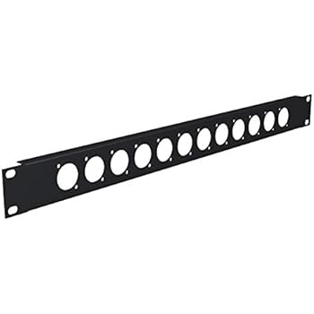 Amazon.com: Focuslife 12-Hole 1U Audio Rack Panel Chassis Mount for ...