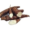 Amazon.com: Fresh Whole Yuca Root (5lb) : Grocery & Gourmet Food