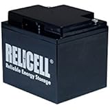 Exide 12v 65AH PowerSafe Sealed Battery - UPS, Solar: Amazon.in: Garden ...