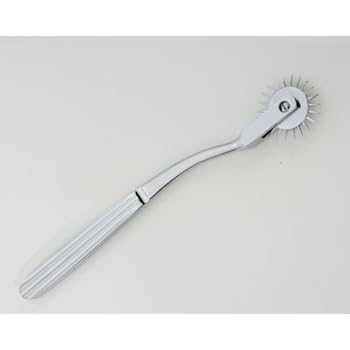 Amazon.com: Wartenberg Pinwheel Wheel for Sensory Play by MedicalToys: Health & Personal Care