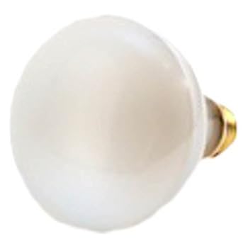 Philips 65W 130V BR30 Reflector Flood E26 Base - Incandescent Bulbs ...