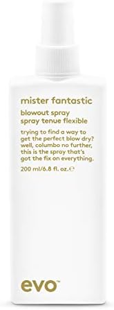 EVO Mister Fantastic Blowout Spray - Improves Style, Builds Body ...