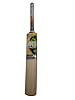 MB Malik Limited Edition Cricket Bat in Saudi Arabia | Whizz