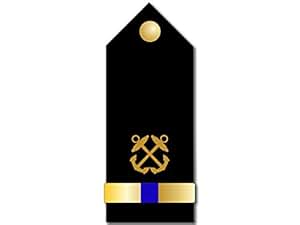 Amazon.com: American Vinyl US Navy Rank CW2 Chief Warrant Officer Two ...