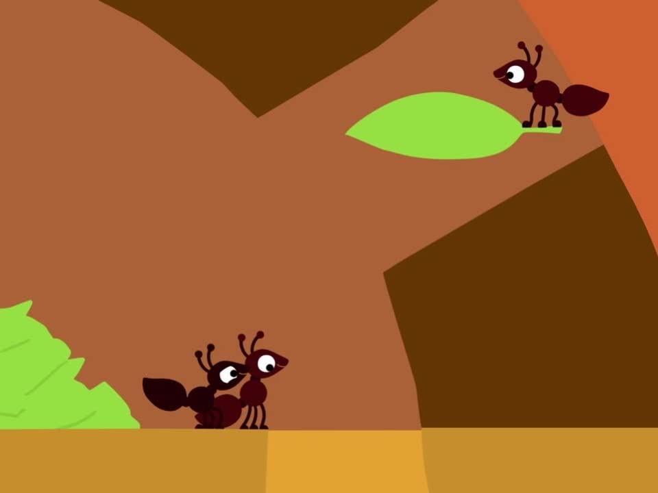 Watch Animanimals Season 1 | Prime Video