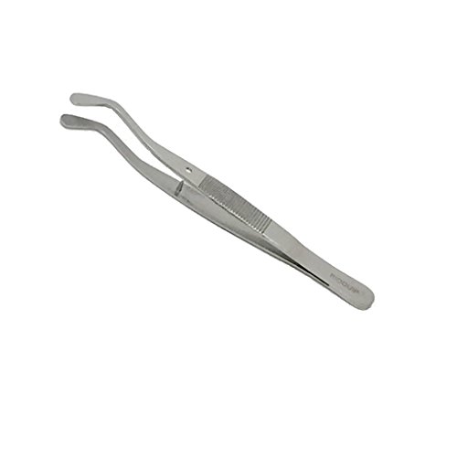 BioQuip Insect Pinning Forceps - Want It All