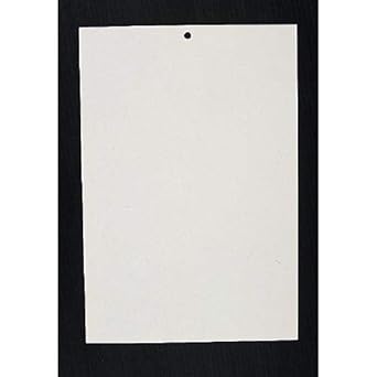 Leneta Company WDX Paint Test Card, Plain White: Amazon.com: Industrial ...