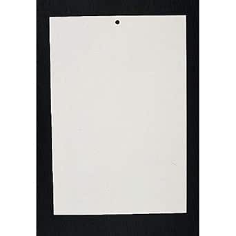 Leneta Company WDX Paint Test Card, Plain White: Amazon.com: Industrial ...