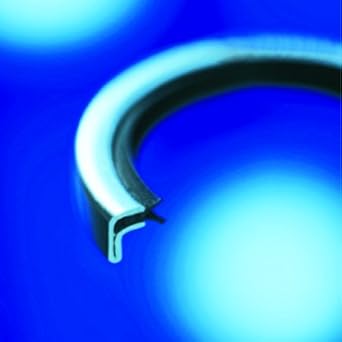 PTFE Shaft Seal HN2390 40x55x8: Amazon.com: Industrial & Scientific