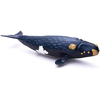 Amazon.com: Safari Pilot Whale: Toys & Games