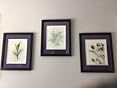 Amazon.com: Handmade Floral Wall Art Home Décor, Botanical Flower ...