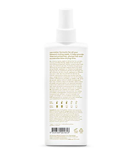 EVO Mister Fantastic Blowout Spray - Improves Style, Builds Body ...
