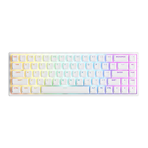 Akko 3068S 65% Mini Rainbow Backlit Mechanical Keyboard White, 68-Key ...