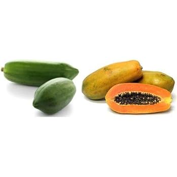Amazon.com : Dwarf Solo Papaya Tree! 10 Seeds! Small fruit! PERFECT FOR ...