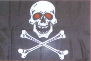 Amazon.com: Red Devil Pirate Flag: Toys & Games