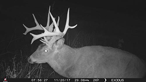 Exodus Lift 2 Trail Camera Review - Outdoor Wilds