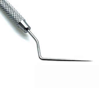 Amazon.com: Dental Pro Spreader D11 Root Canal Plugger Filling ...