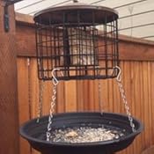 Amazon.com : Bird Seed Catcher Tray 12" x 2" Black : Garden & Outdoor