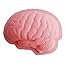 Fun World Brain Jello Mold Halloween Decoration - Make Your Own Gelatin ...