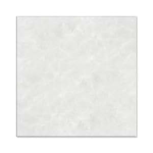 Amazon.com: FIBRACOL Plus Collagen Wound Dressing with Alginate 4X4 1 ...