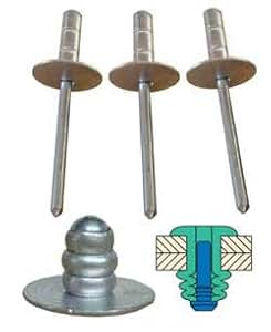 Amazon.com: Large Head Multi-Grip Pop Rivets 250ct: Automotive