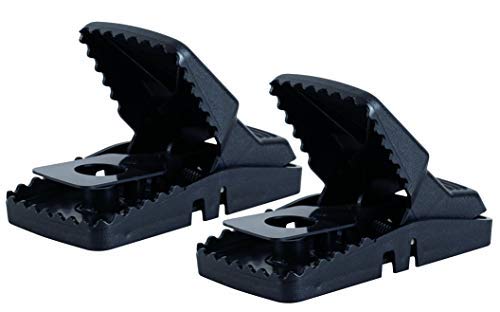 How To Get Rid of Rats 2019 | Traps, Poison, Humane Methods