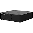 Amazon.com: SMSL A100 Amplifier Home Audio, Stereo Amplifier Uses ...