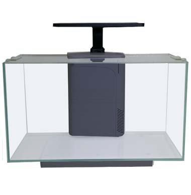 Best Rimless Aquariums for 2021 | Top 6 Reviews and Buying Guide