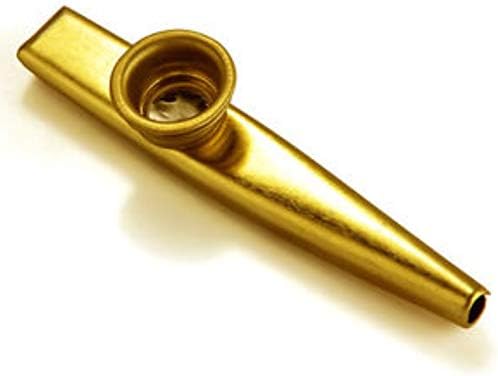 Gold Plated Metal Kazoo Musical Instrument: Amazon.ae