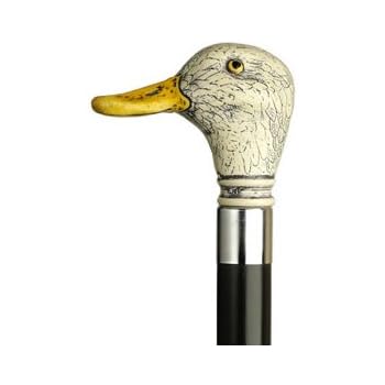 Amazon.com : Walking Cane - Unisex translucent duck handle with brass ...