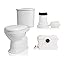 Saniflo SaniPLUS: Macerating Upflush Toilet Kit (with Standard Bowl ...