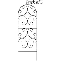 Amazon.com New Releases: The best-selling new & future releases in ...