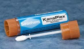 Seachem KanaPlex 5gm/0.2oz (B008633E74) | Amazon price tracker ...