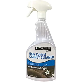 Amazon.com: Shaw R2X Carpet Stain & Soil Remover 32 Ounces Spray: Home ...