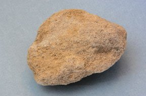 SciEd Individual Rock Specimens: Igneous Rocks; Pumice, light gray Qty ...