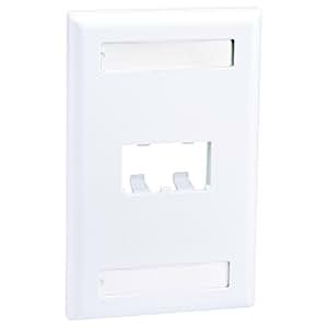 Amazon.com: Panduit CFPL2WHY 1-Gang 2-Port Faceplate, White: Electronics