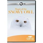 Amazon.com: Nature: Owl Power : Feldman, Stephen M.: Movies & TV