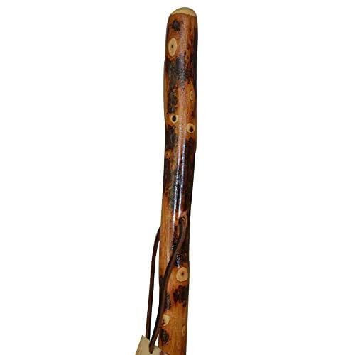 Amazon.com: 72" Tall Hickory/Elm Walking Stick, Walking Stick for Tall ...