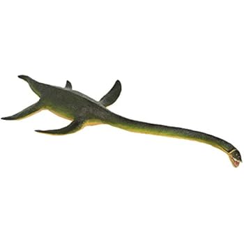 Amazon.com: Safari Ltd Wild Safari Elasmosaurus – Realistic ...