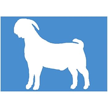 Amazon.com: Boer Goat *J386* 6 inch Decal Sticker *: Automotive