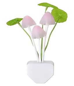 Amazon.com : Curasol Gel Wound Dressing : First Aid Products : Beauty