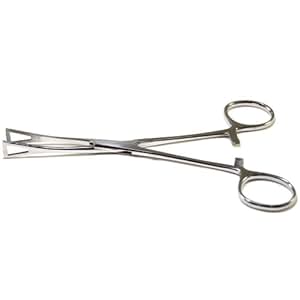 Amazon.com: Stainless Steel Pennington Non-Slotted (closed end) Clamp ...