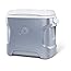 Amazon.com : Igloo Iceless Thermoelectric Cooler (Silver/White, 26 ...
